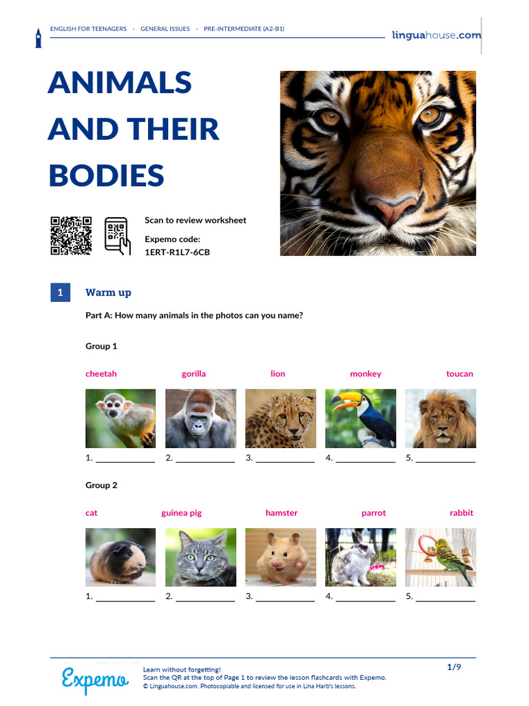 Animals and Their Bodies for Teens | PDF | Marsupials | Zoology