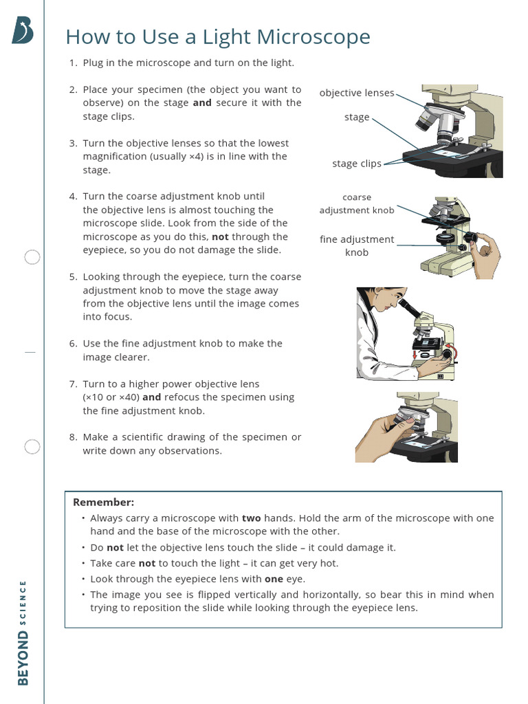 How to Use a Light Microscope Guide | PDF
