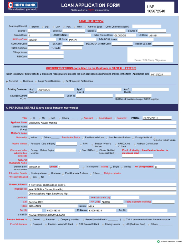 Loan Application | PDF