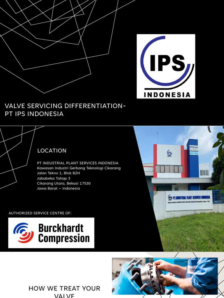 IPSI - Valve Servicing Differentiation | PDF | Leak | Industrial Processes