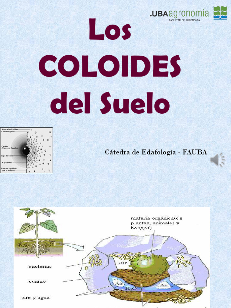 Diapositivas Los Coloides Del Suelo | PDF | Coloide | Fases de la materia