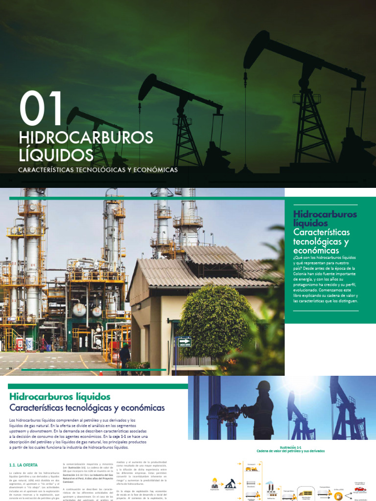 SEMANA 13_merged | PDF | Gasolina | Petróleo