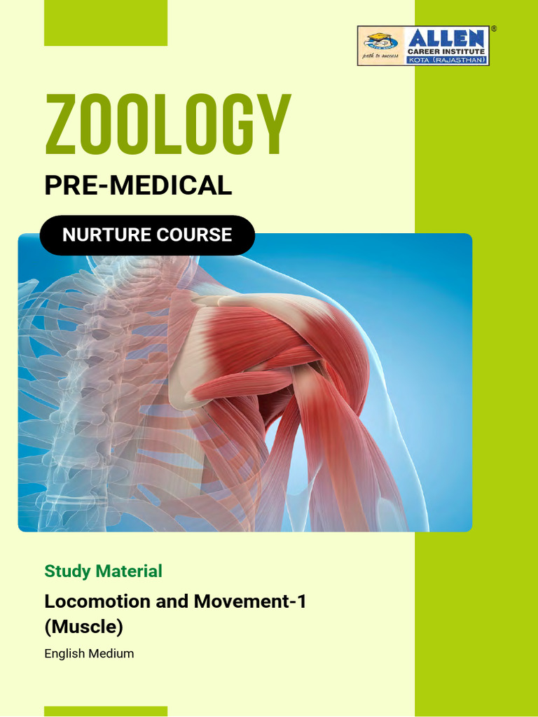 Muscles Chapter class 12th Allen module | PDF | Muscle | Muscle Contraction