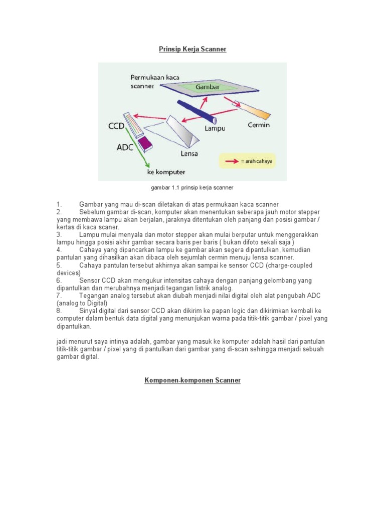 Prinsip Kerja Scanner | PDF | Komputer