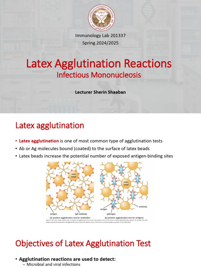 4. Latex Agglutination Reactions | PDF | Virology | Medical Tests