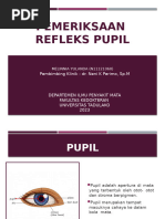 Pupil Isokor dan Anisokor: Penjelasan | PDF