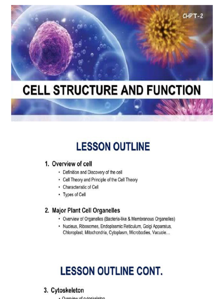 Cell Structure and Function | PDF