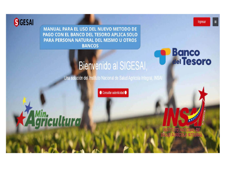 Manual para Pagos Sigesai | PDF