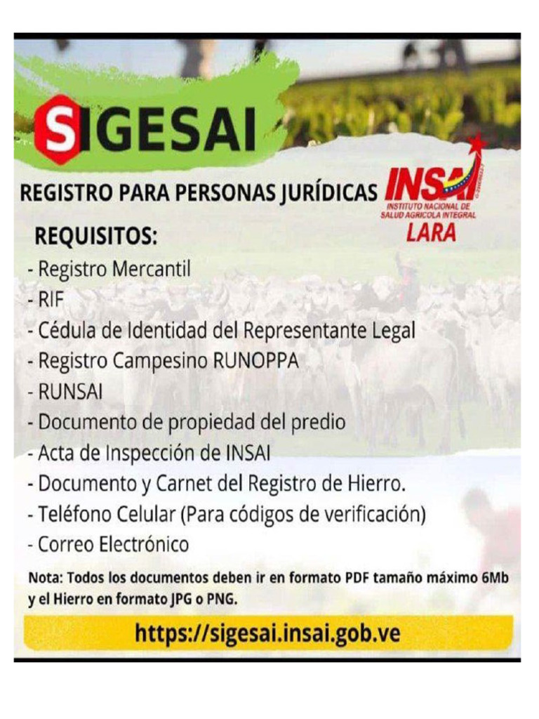 Requisitos Para Registro Sigesai | PDF