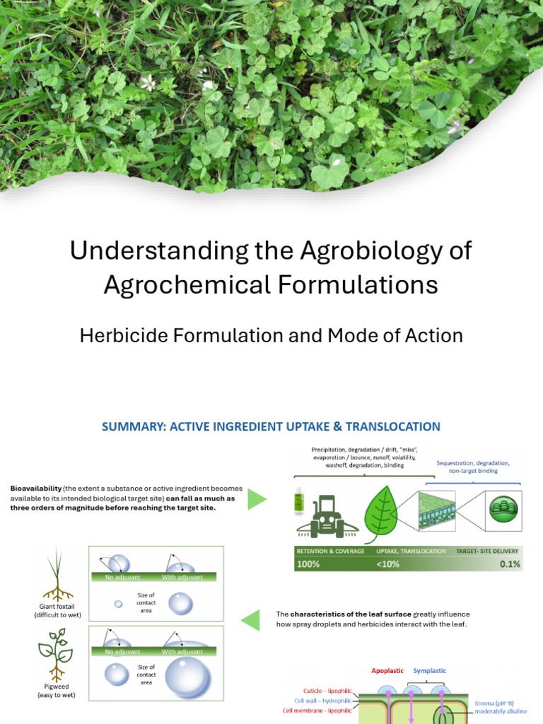 Herbicide Formulation and Mode of Action | PDF | Herbicide | Soil
