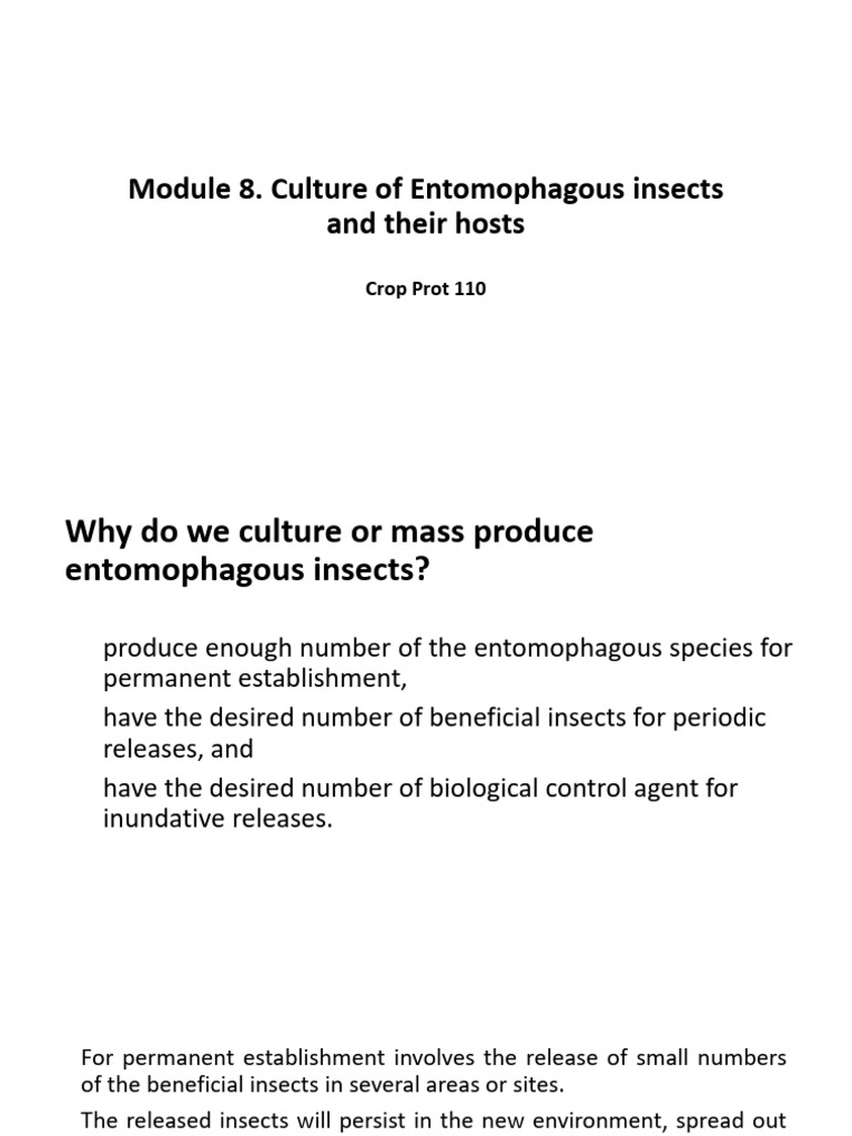 Mass Production of Entomophagous Insects | PDF | Biological Pest ...