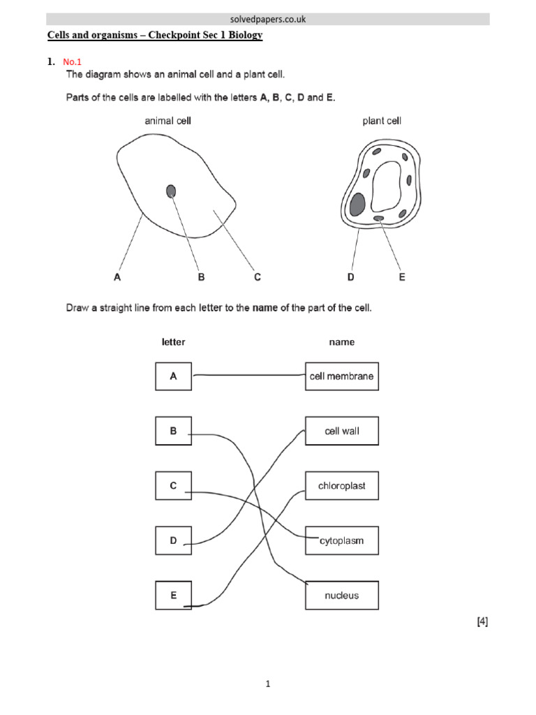 CPS2217BT Cells and Organisms66210 Checkpoint Sec 1 Biology 2 | PDF