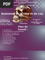 Anatomie des Os du Visage Humain | PDF | Anatomie humaine | Appareil ...