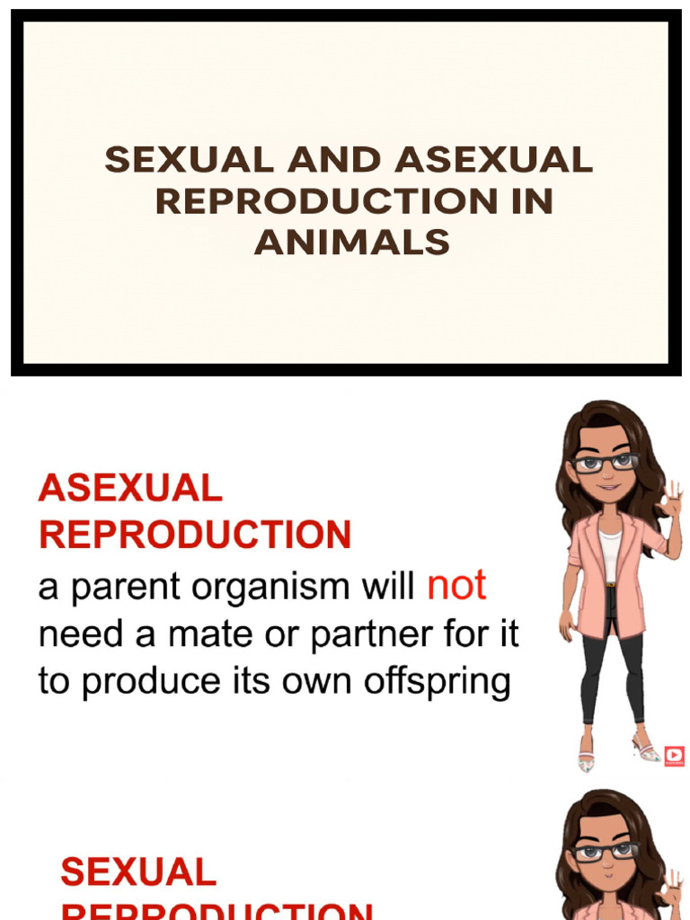10.reproduction in Animals | PDF