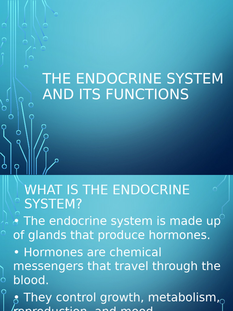 Endocrine System and Functions Presentation | PDF
