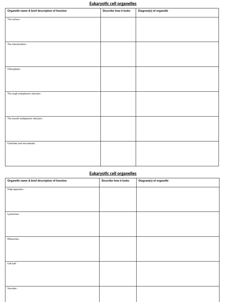 Eukaryotic Cell Organelles TABLE | PDF