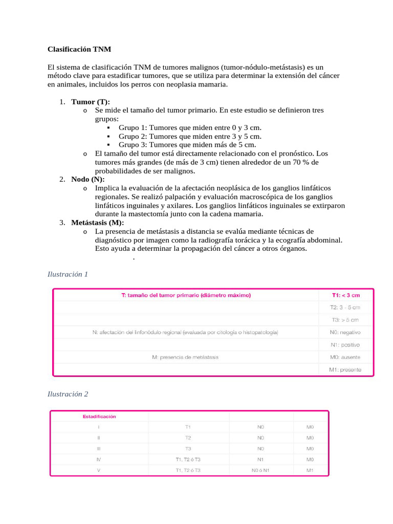 Clasificación TNM en Tumores Mamarios Caninos | PDF | Cáncer | Neoplasias