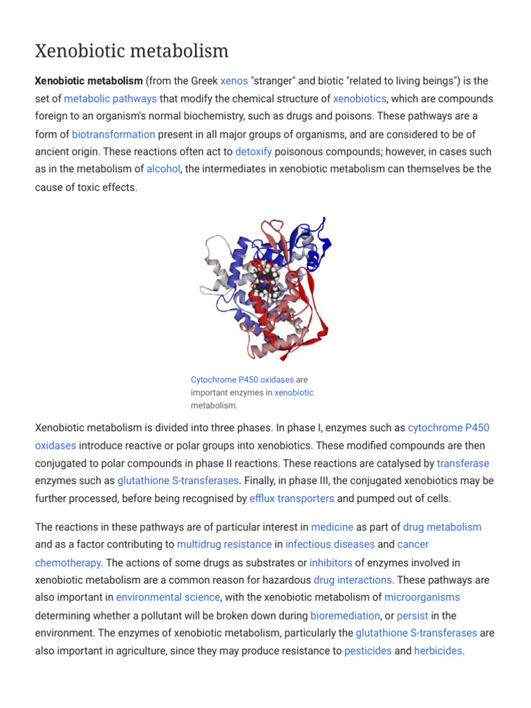 Xenobiotic Metabolism - Wikipedia | PDF | Drug Metabolism | Cell Biology