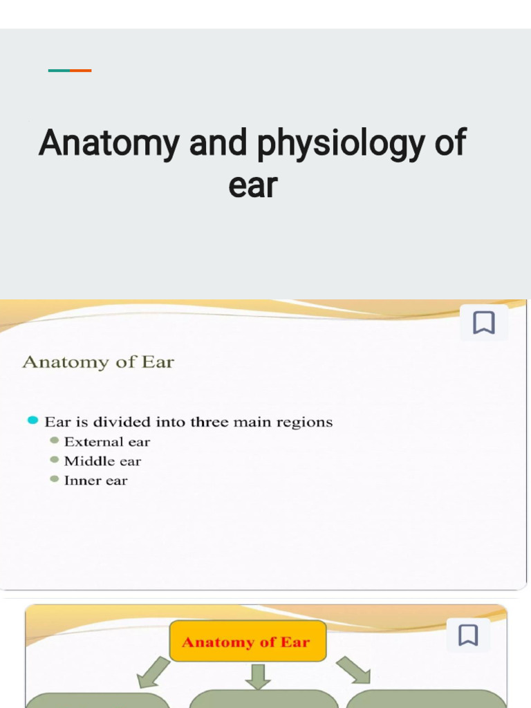 Ear Anatomy & Physiology | PDF