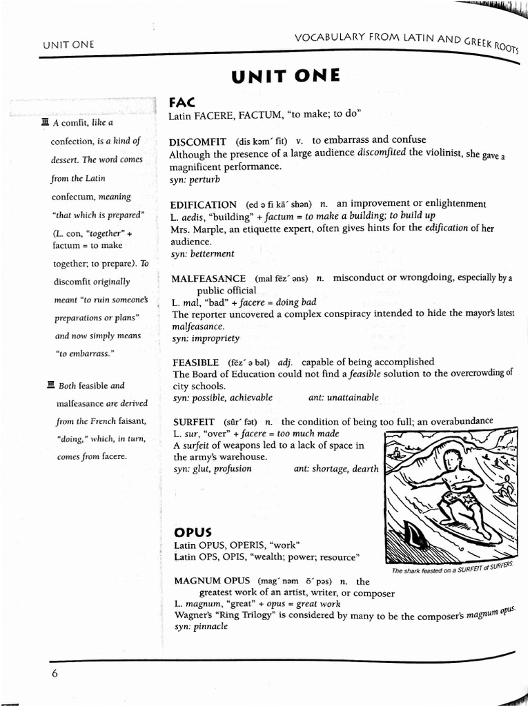 Unit 1 Vocab (Lang) | PDF