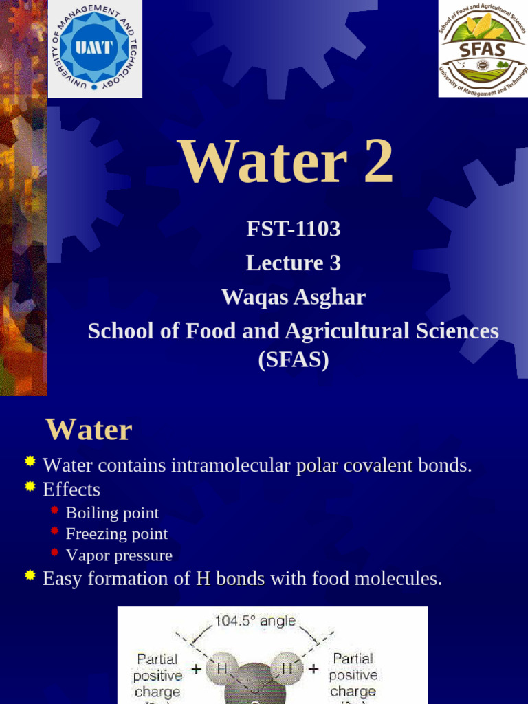 Lecture 3 - Water 2 | PDF | Water | Properties Of Water