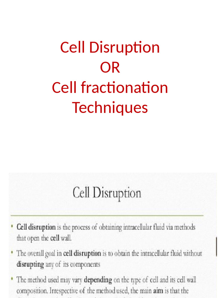 Cell Disruption and Fractionation Techniques | PDF | Cell Membrane ...