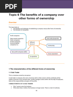 Business Structures Under Companies Act | PDF | Partnership | Sole ...