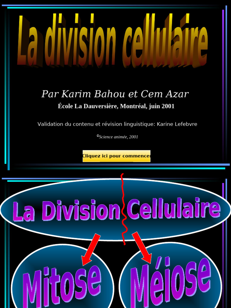 Mitose et Méiose : Phases de Division Cellulaire | PDF | Mitose | Génétique