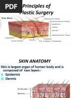 Dermatology Flap CPT Codes Guide | PDF | Teaching Methods & Materials ...