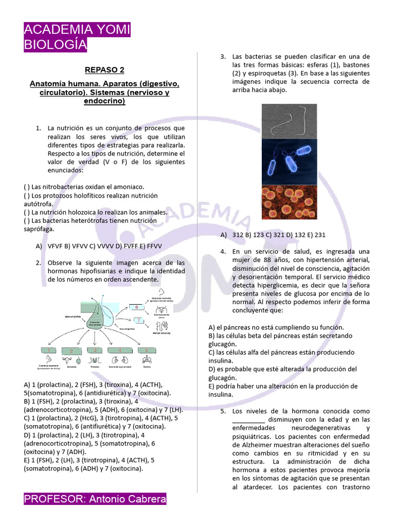 Biología - Semana 2 - Repaso Intensivo | PDF | Cerebro | Fotosíntesis
