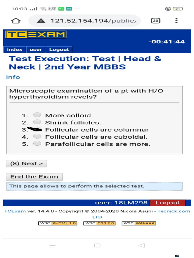 Head and Neck Test Execution | PDF