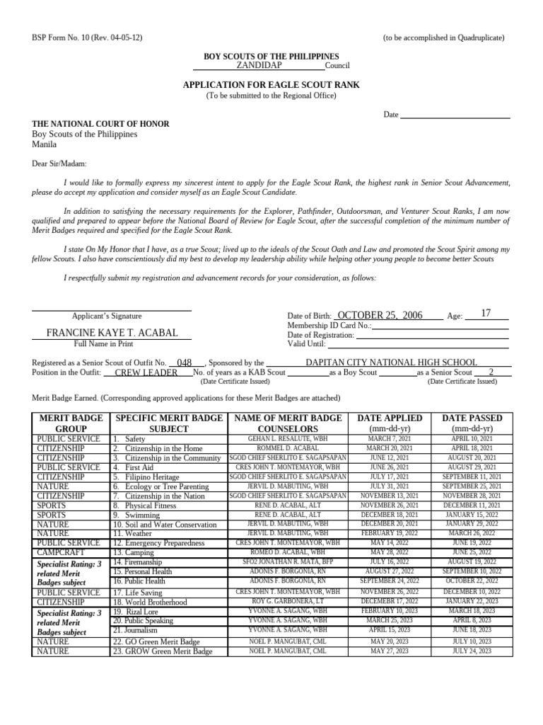BSP-Form-No | PDF | Scouting | Identity Document