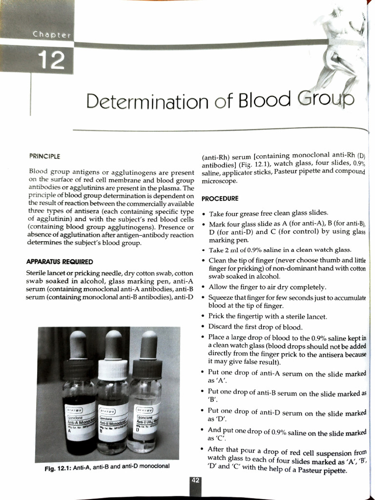 Blood Group Determination Procedure | PDF | Antibody | Body Fluids