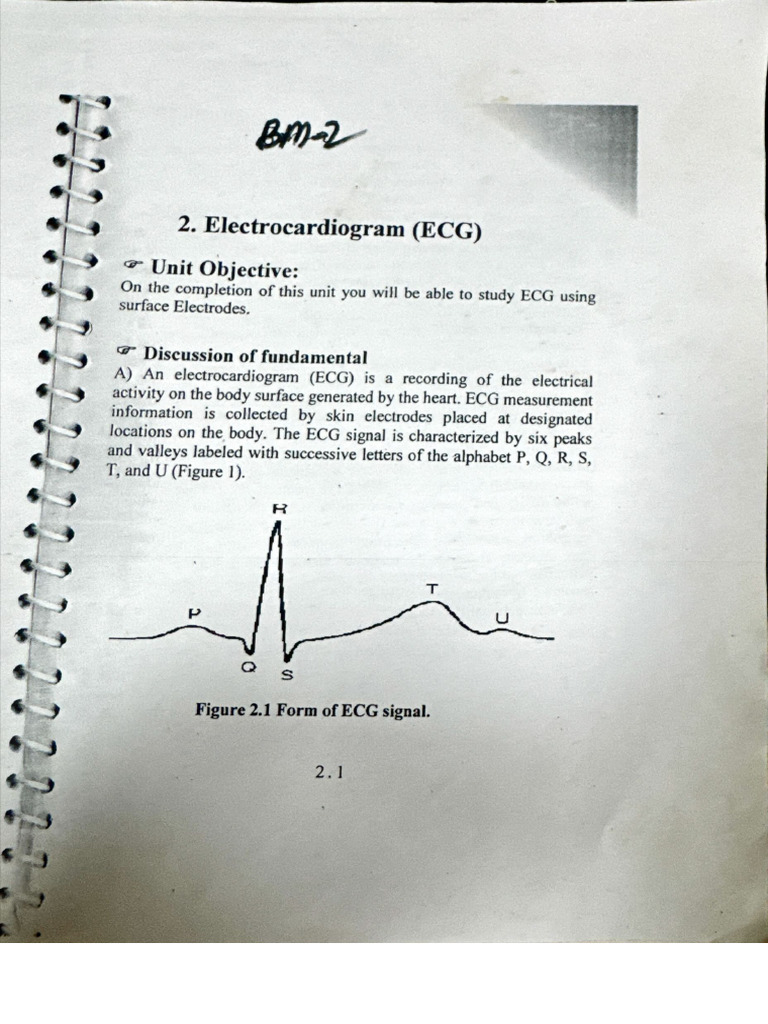Biomed Experiment 2 | PDF