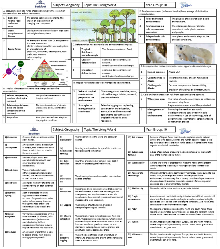 Knowledge Organiser- Living World EHS | PDF | Ecosystem | Natural ...