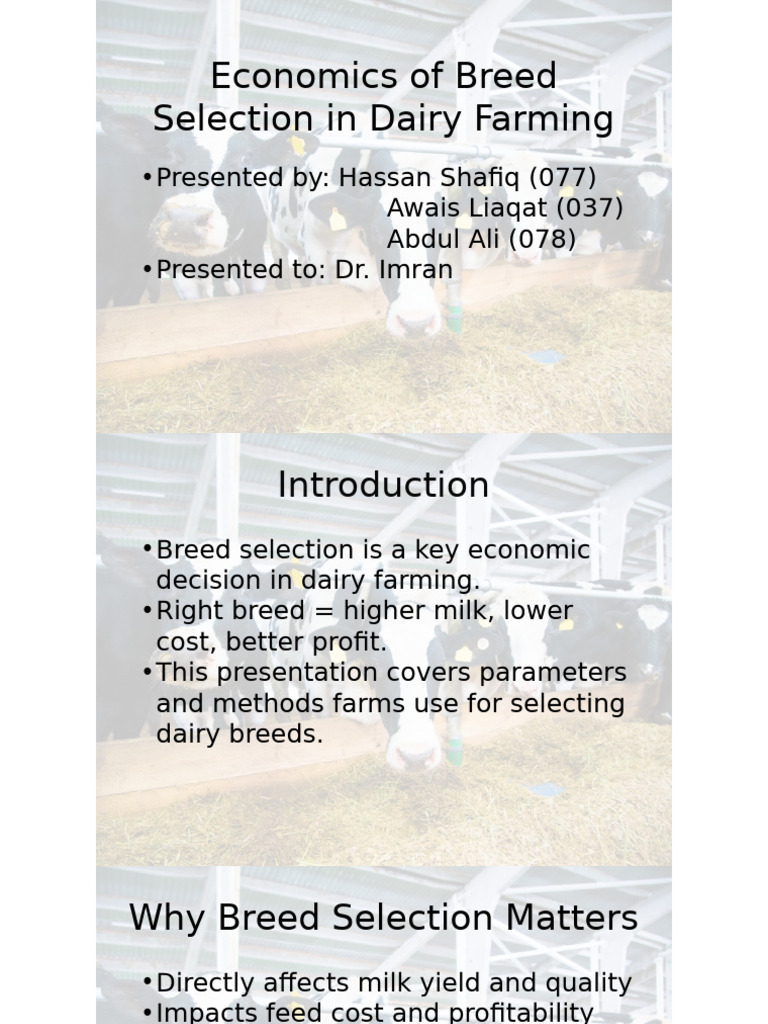 Dairy Breed Selection for Profitability | PDF