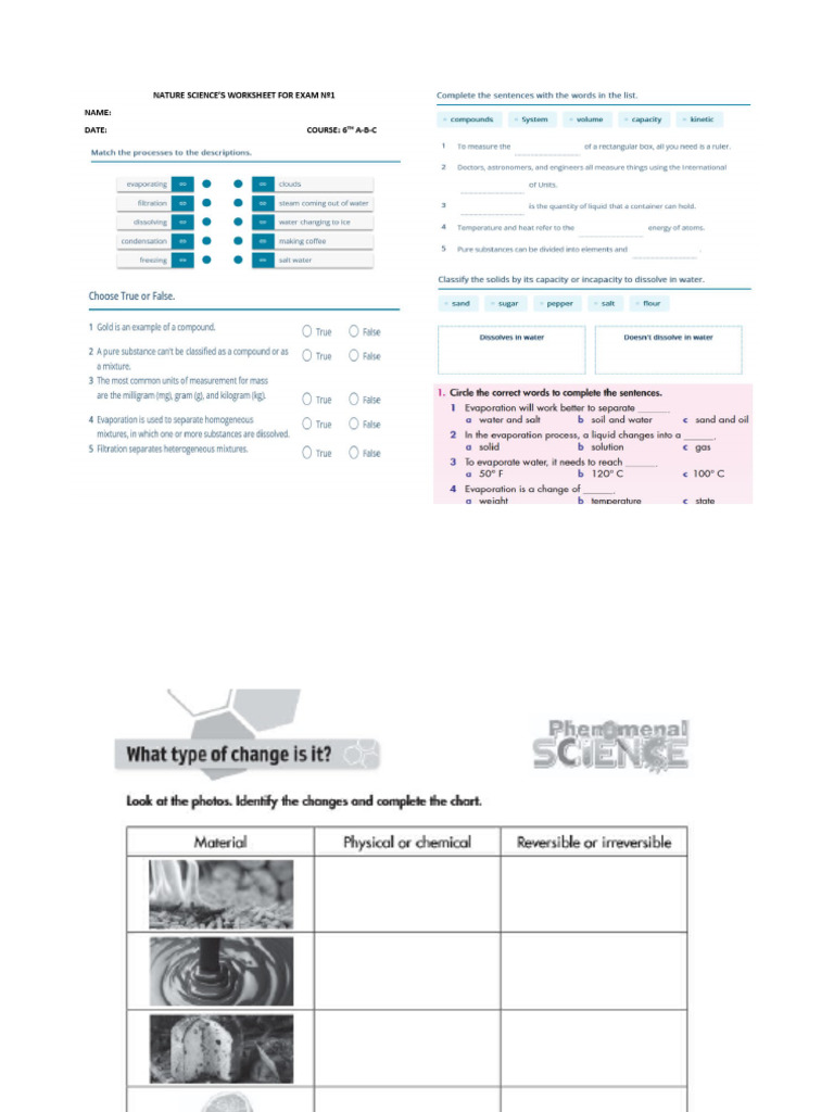 Science Worksheet | PDF