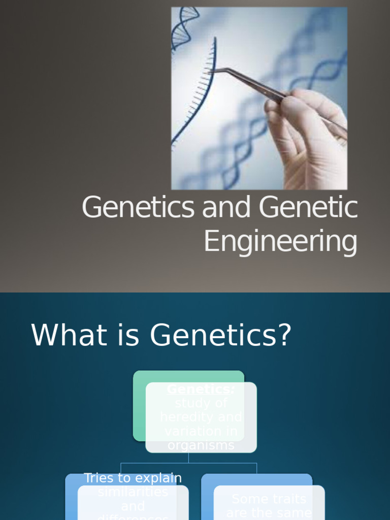11. Genetics and Genetic Engineering | PDF | Zygosity | Genotype