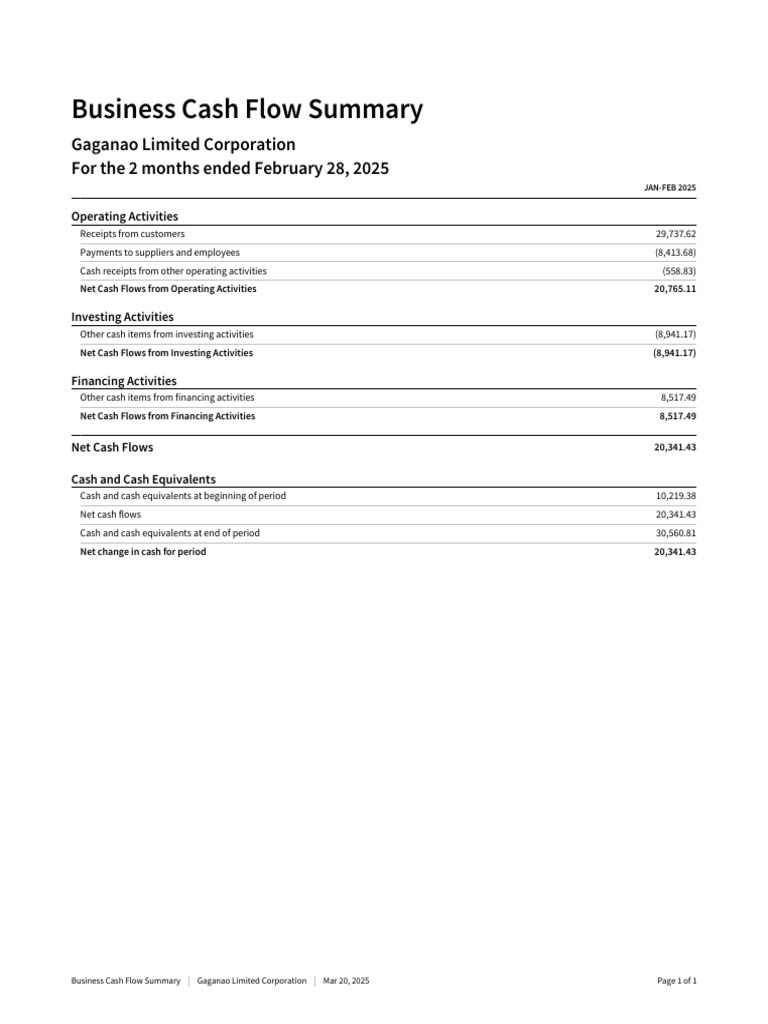 Gaganao Limited Corporation - Business Cash Flow Summary | PDF
