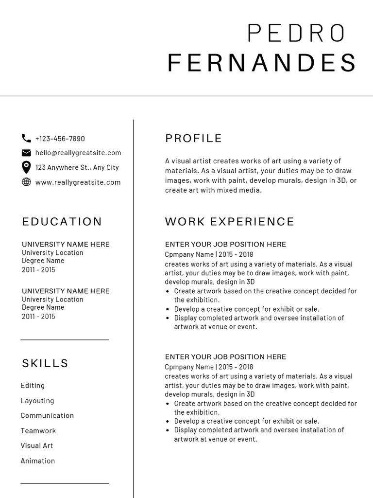 Visual Artist Profile and Skills | PDF