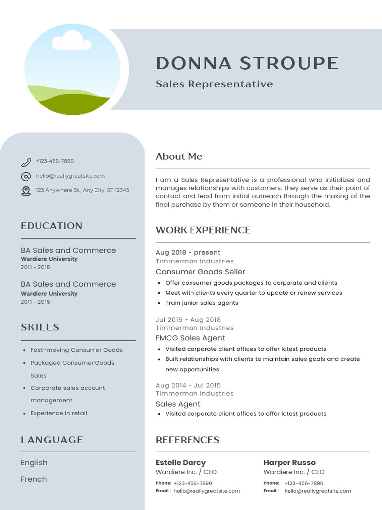 Experienced Sales Representative Profile | PDF | Sales | Marketing