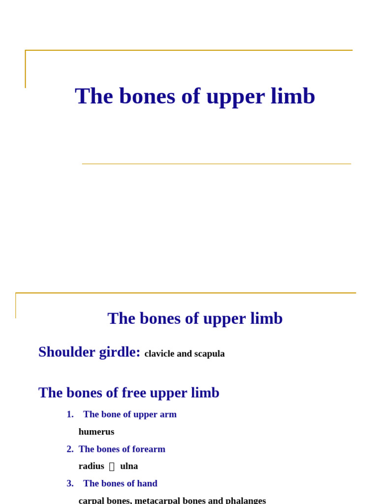 2-The Bones of Upper Limb | PDF | Limbs (Anatomy) | Musculoskeletal System
