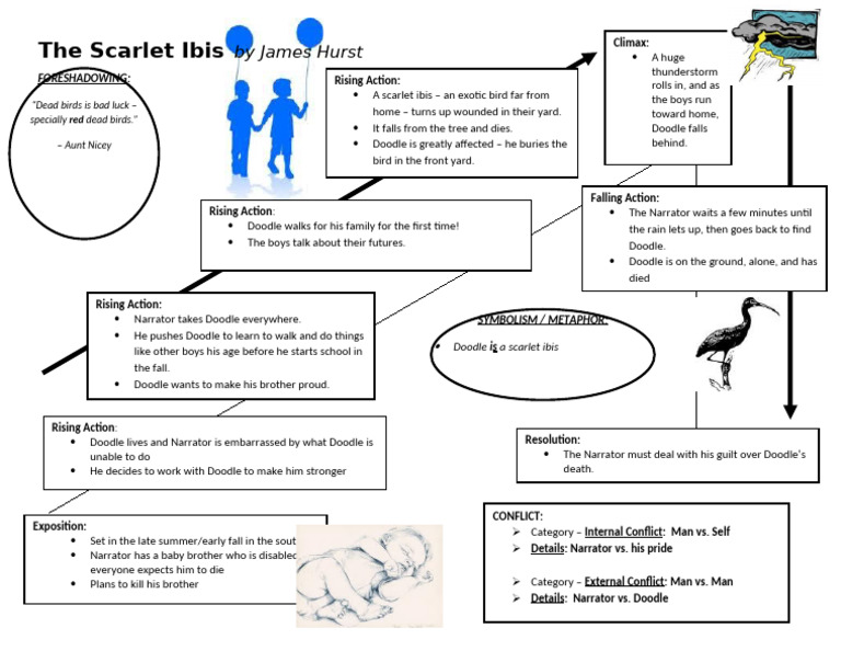 Scarlet Ibis Plot Diagram (2) | PDF