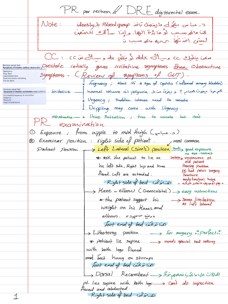 DRE. Per Rectum Examination. | PDF