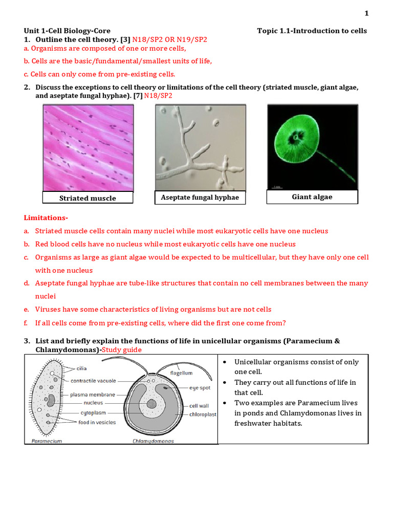 Cell Biology: Functions and Theory | PDF | Cell Membrane | Endoplasmic ...