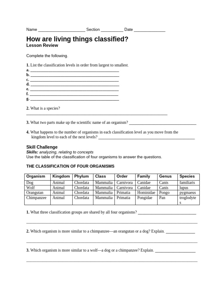 Classification Worksheet | PDF