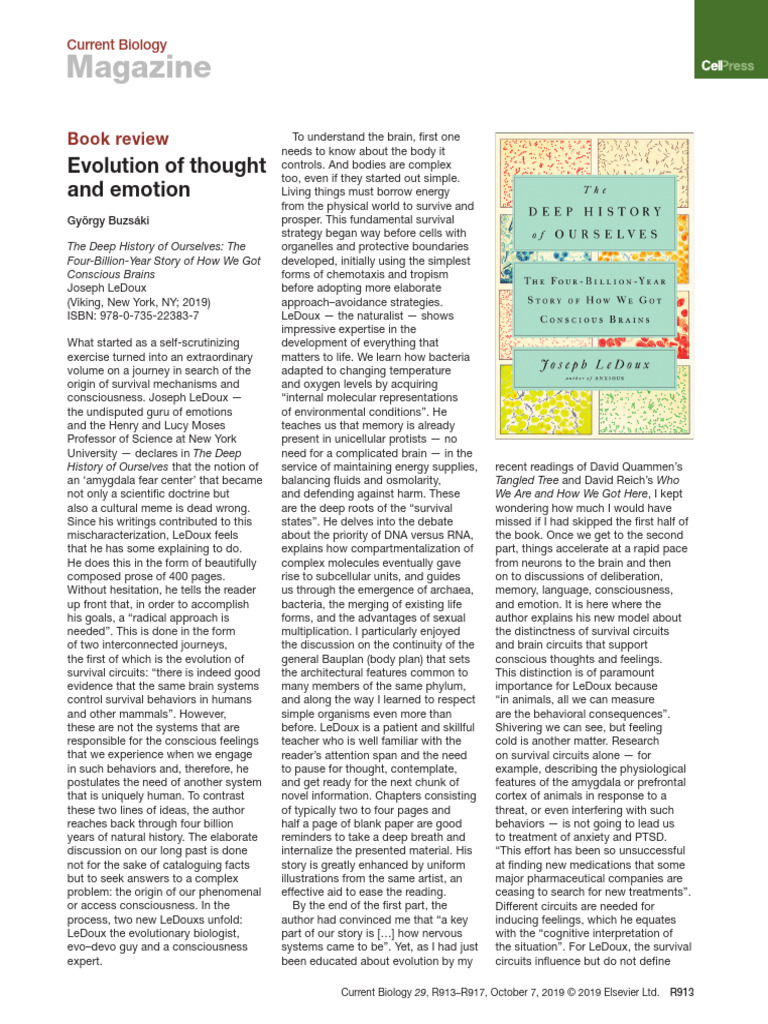 Evolution of Thought and Emotion Curbio | PDF | Consciousness | Emotions