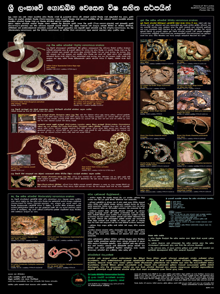 Venomous Land Snakes of Sri Lanka - Lowres | PDF
