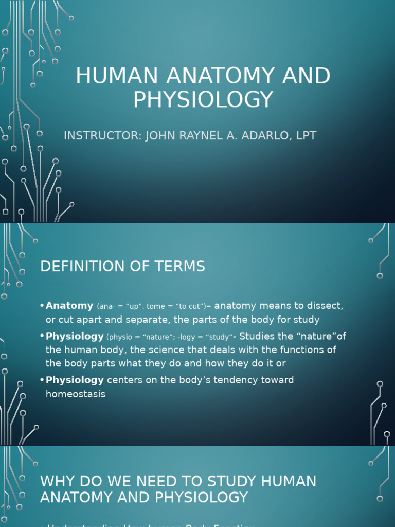 Human Anatomy and Physiology Overview | PDF | Muscle | Tissue (Biology)