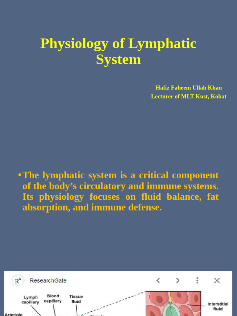 Physiology of Lymphatic System | PDF | Lymphatic System | Immune System